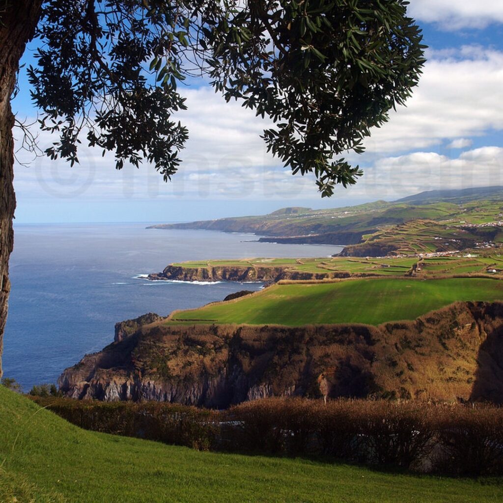 E-Bike Tour - W/guide at Ribeira Grande - Half Day - @AZORES