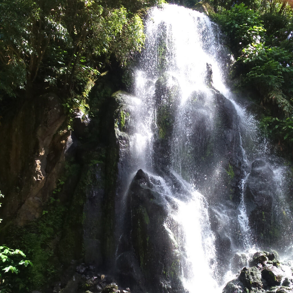 Northeast Route - Full-Day Jeep Tour - @AZORES