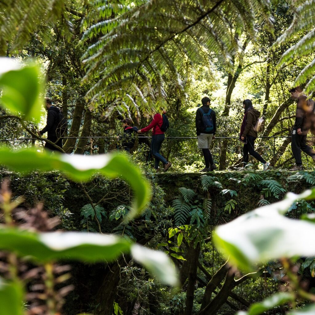 Azores - Europe's and World's Leading Adventure Destination - @AZORES